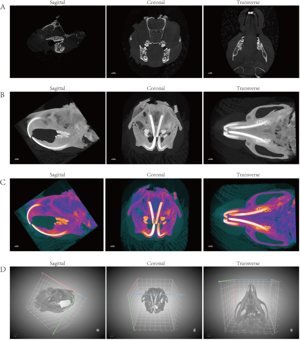 3D X-ray microscope acts as an accurate and effective equipment of ...