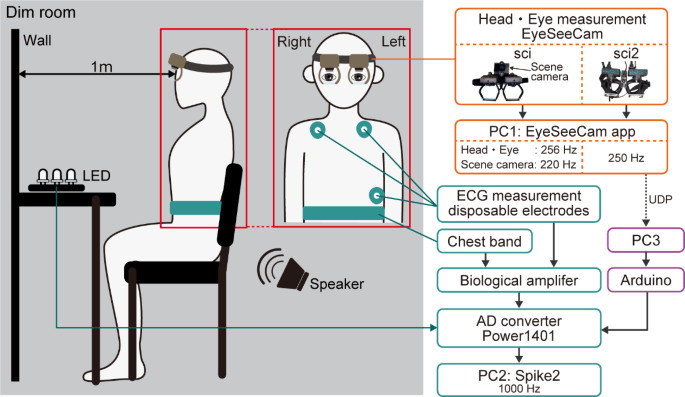 Detection of human drowsiness by the vestibulo-ocular reflex ...