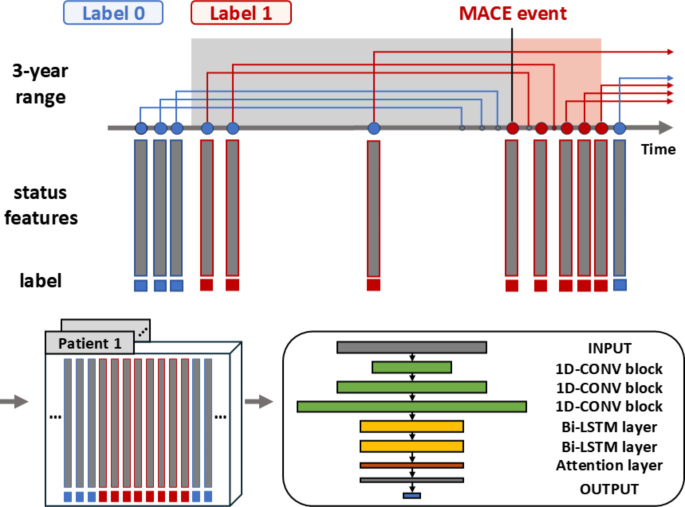 Development and transfer learning of self-attention model for major adverse cardiovascular ...