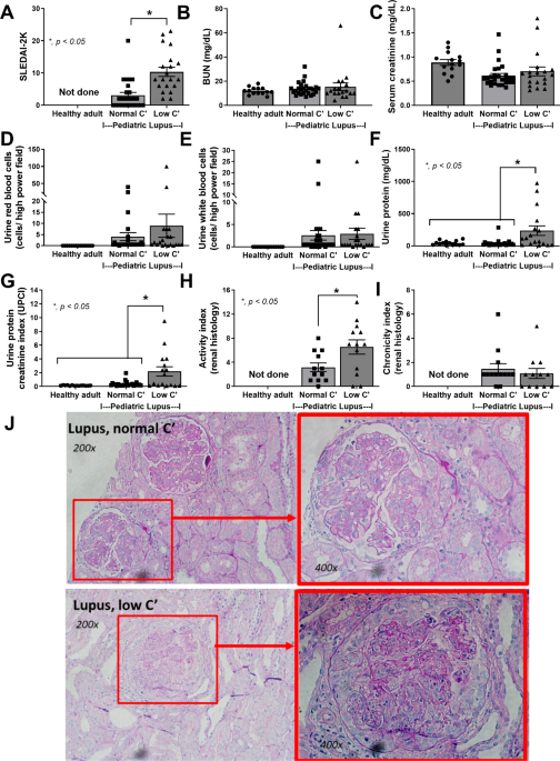 Extracellular traps in peripheral blood mononuclear cell fraction in ...