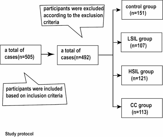 A novel methylation-detection panel for HPV associated high-grade ...