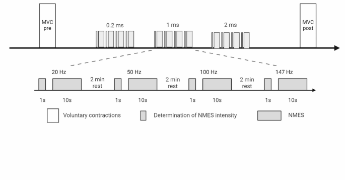 Centrally mediated responses to NMES are influenced by muscle group and ...