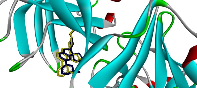 Virtual screening, ADMET prediction, molecular docking, and dynamic ...