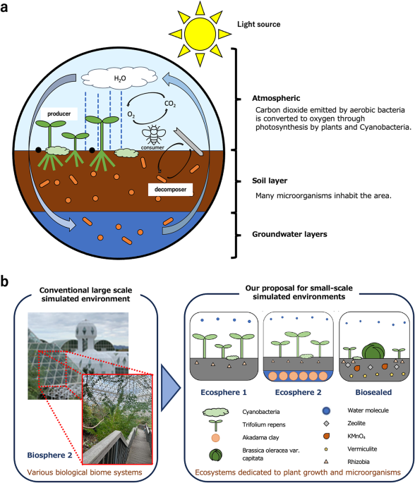 Survivability and life support in sealed mini-ecosystems with simulated ...
