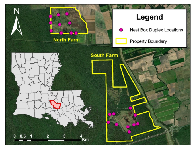 Nest box-mounted PIT tag readers reveal cryptic recruits of cavity ...