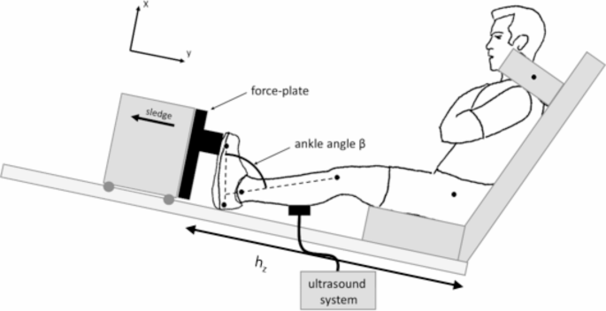 Impact of contraction intensity and ankle joint angle on calf muscle ...