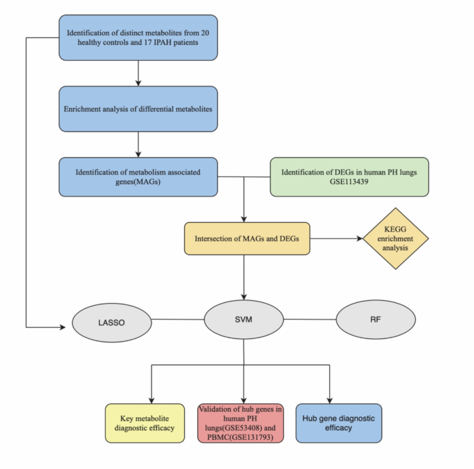 Identification of metabolic biomarkers in idiopathic pulmonary arterial ...