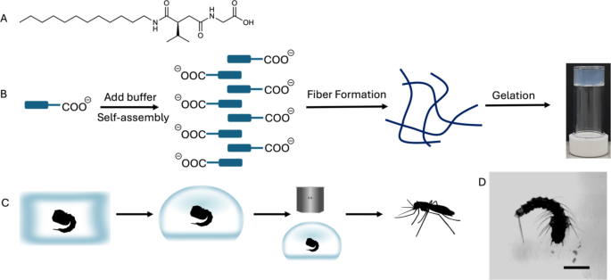 A biocompatible supramolecular hydrogel mesh for sample stabilization ...