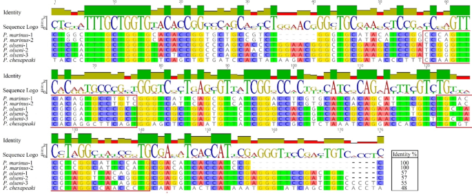 A highly sensitive and specific real-time quantitative polymerase chain ...