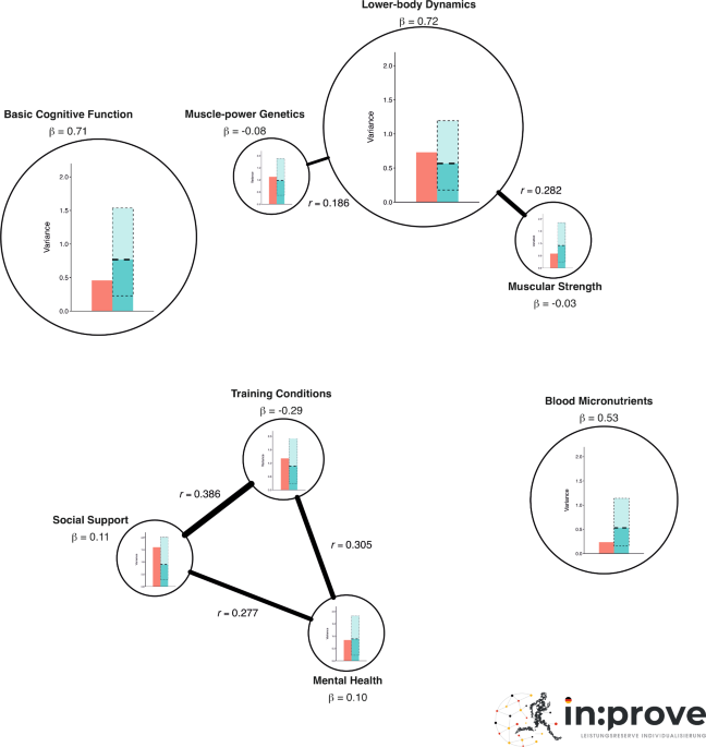 Advocating individual-based profiles of elite athletes to capture the ...