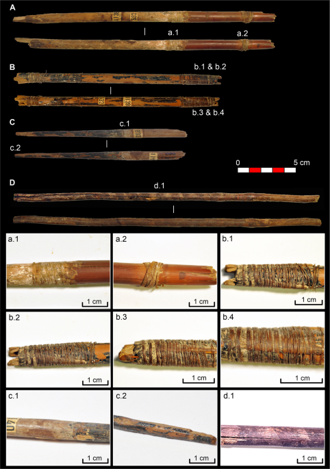 First evidence of early neolithic archery from Cueva de los Murciélagos ...