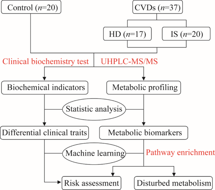 Biomarker identification and risk assessment of cardiovascular disease based on untargeted ...