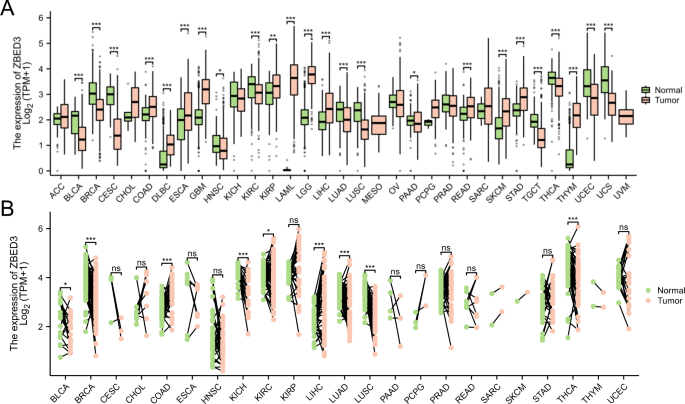 Integrated pan-cancer analysis and experimental verification of the ...