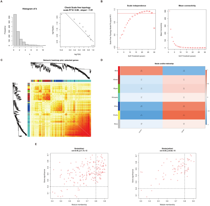 Integrating machine learning and single-cell transcriptomic analysis to identify potential ...
