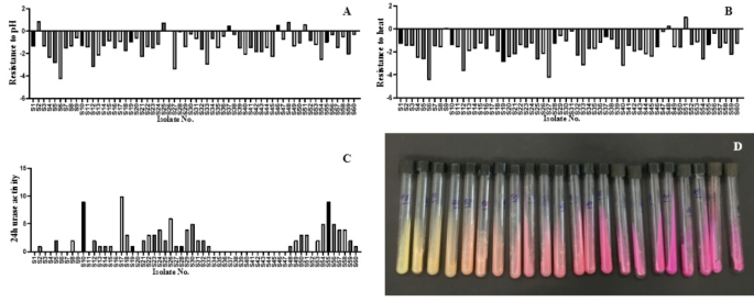 Isolation and characterization of a resistance Bacillus subtilis for ...