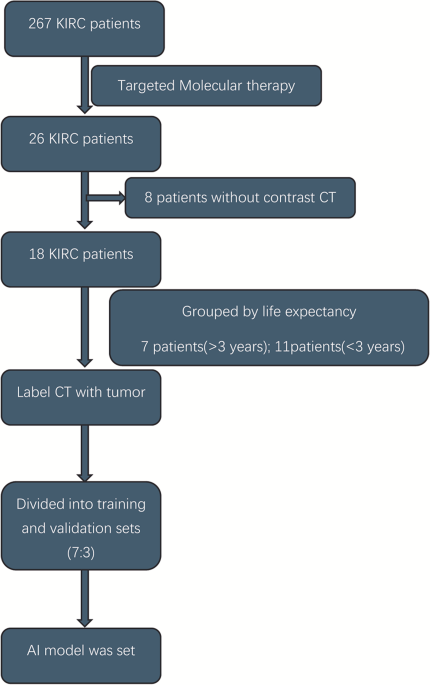 AI predictive modeling of survival outcomes for renal cancer patients ...