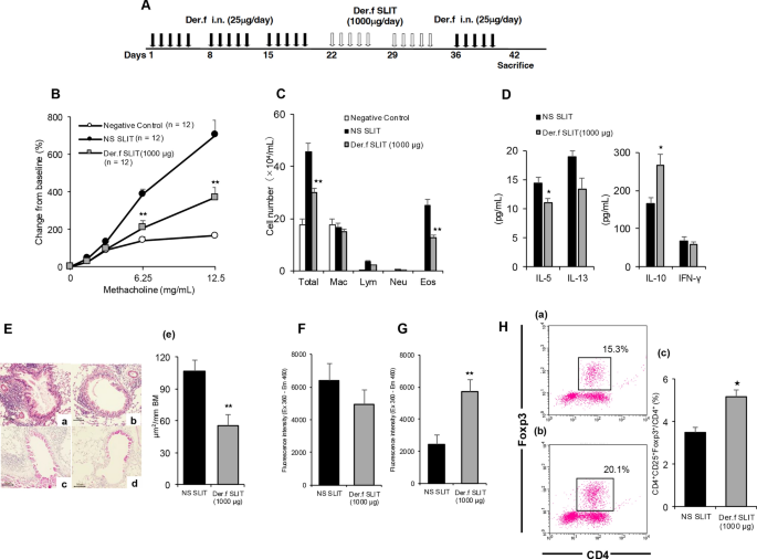 Mechanism differences in the start time of sublingual immunotherapy in a mouse allergic airway ...