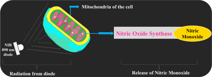 Development of a near infrared region based non-invasive therapy device ...