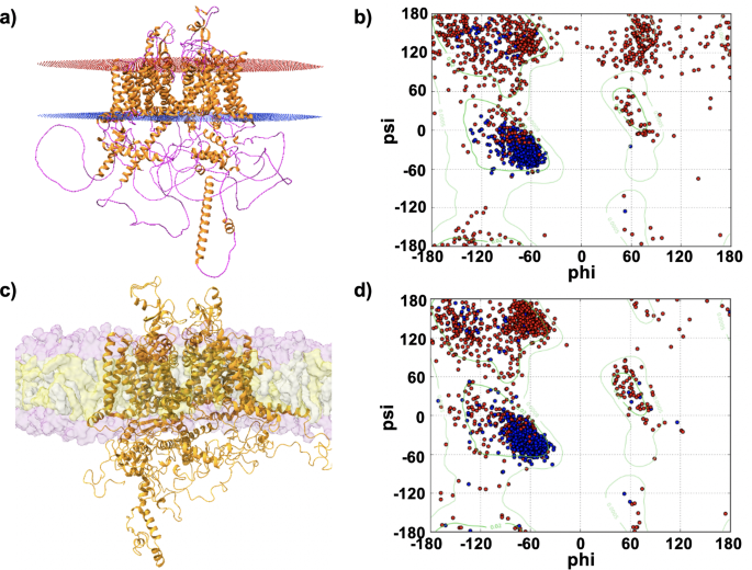 An all-atom model of the human cardiac sodium channel in a lipid ...
