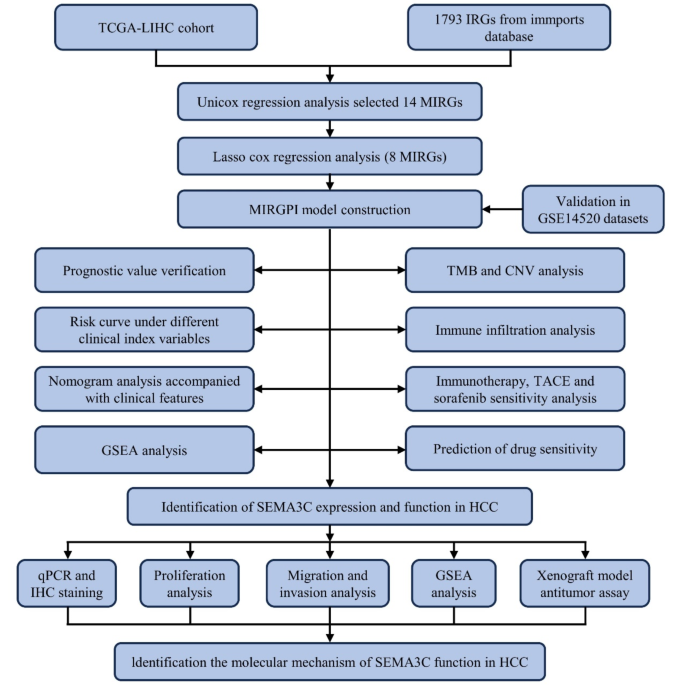 Construction and validation of a prognostic signature based on ...