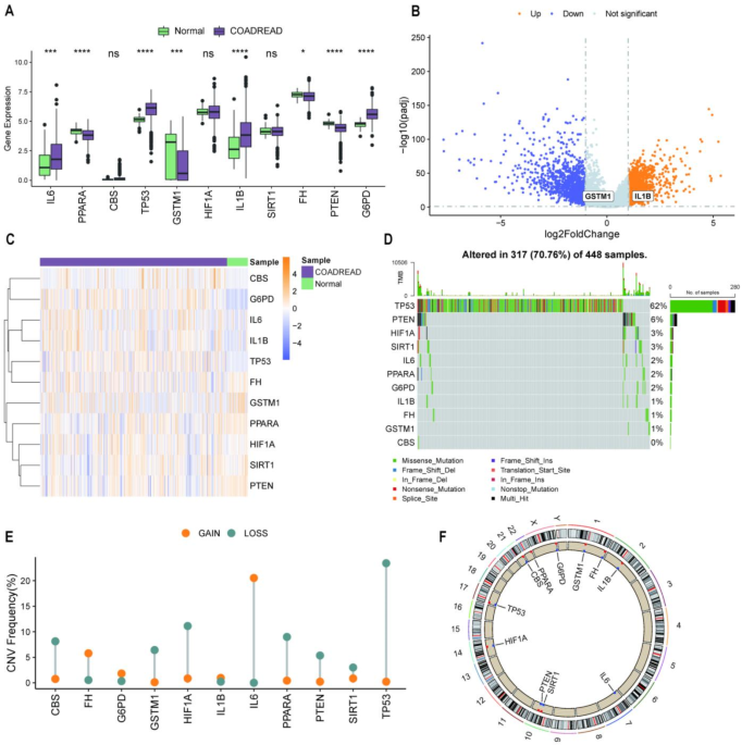 Identifying colorectal cancer subtypes and establishing a prognostic ...