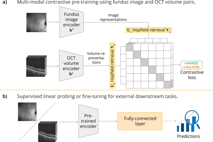 Multi-modal representation learning in retinal imaging using self-supervised learning for ...