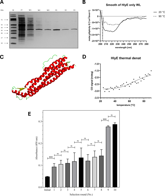 Isolation and characterization of DNA aptamers against the HlyE antigen ...