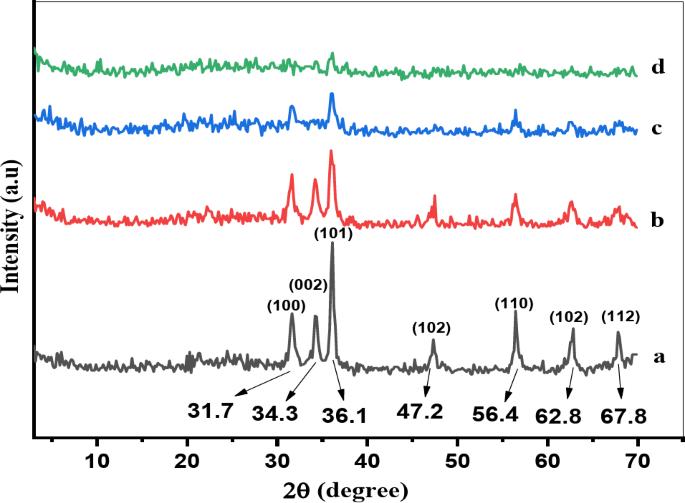 Fabrication of novel PVA loaded ZnO nanoparticles for anti-renal ...