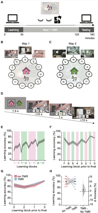 Memory reactivation generates new, adaptive behaviours that reach ...
