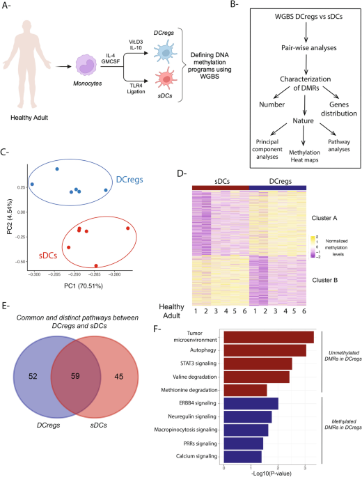 Epigenetic signature of human vitamin D3 and IL-10 conditioned ...