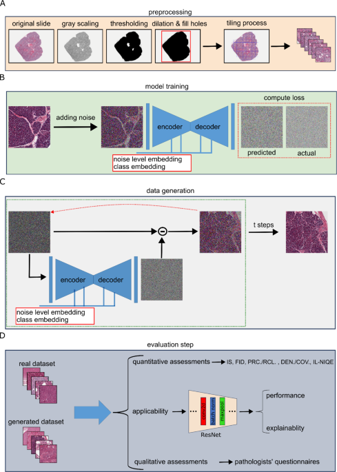 Generating and evaluating synthetic data in digital pathology through diffusion models ...