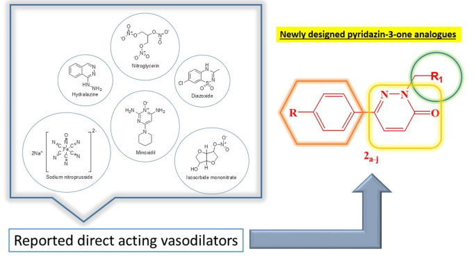 Synthesis of potent vasodilating agents: in silico and in vitro ...