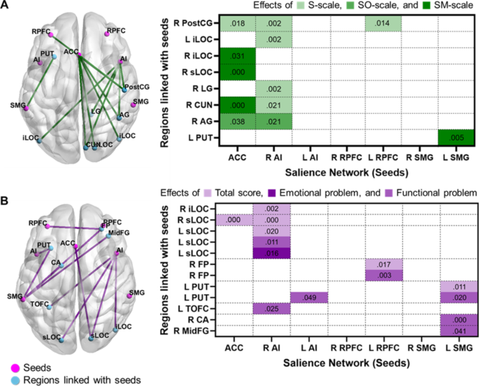 Alterations in functional connectivity in the salience network shared ...