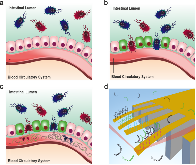Nanomechanical detection to empower robust monitoring of sepsis and ...