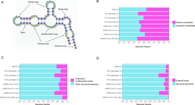 Analysis of the abundance and diversity of RNA secondary structure elements in RNA viruses using ...