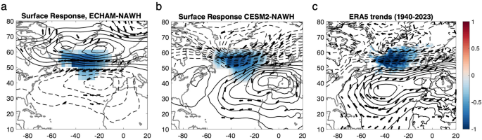 A positive atmospheric feedback on the North Atlantic warming hole ...