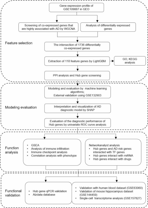 Interpretable machine learning-driven biomarker identification and validation for Alzheimer’s ...