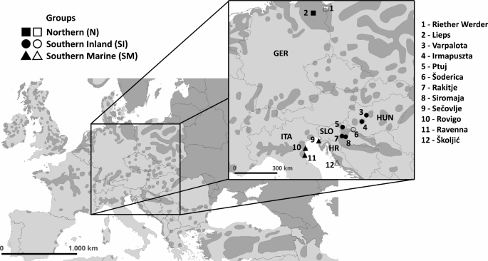 High genetic diversity yet weak population genetic structure in ...