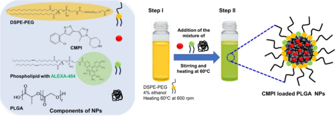 Formulation and characterization of CMPI nanoparticles for enhanced ...
