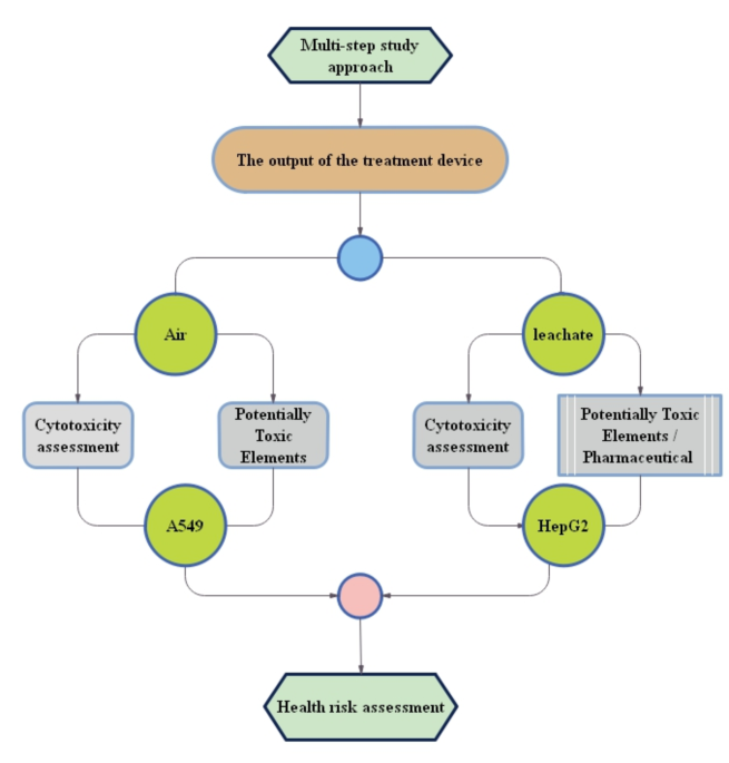 Evaluation of potentially toxic elements and pharmaceutical compounds ...