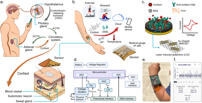 StressFit: a hybrid wearable physicochemical sensor suite for ...