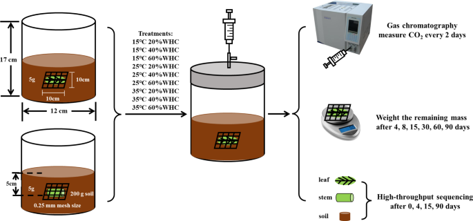 The microbial mechanism of maize residue decomposition under different ...