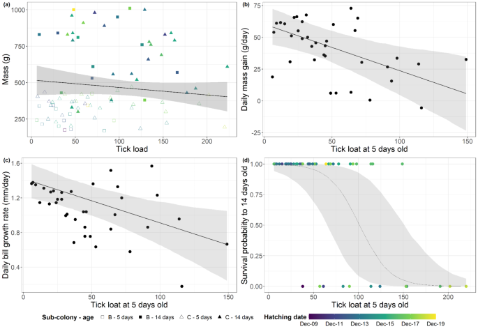 Experimental evidence of high tick infestation limiting chick growth ...