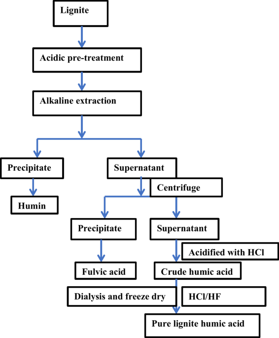Extraction and chemical characterization of humic acid produced from ...