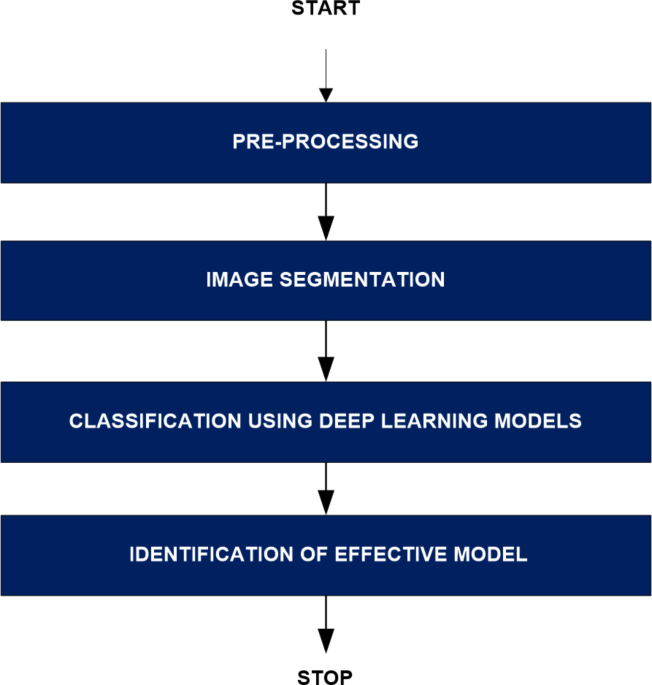 A comprehensive analysis of deep learning and transfer learning ...