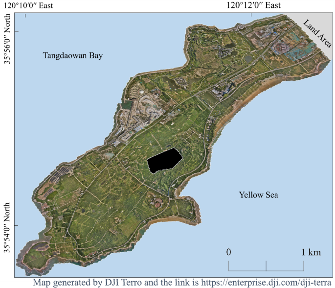 Utilizing active learning and attention-CNN to classify vegetation ...