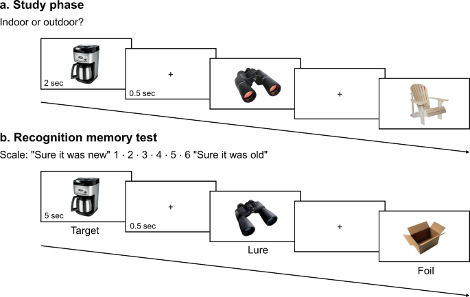 Age-related differences in the relationship between confidence and false memory in a mnemonic ...