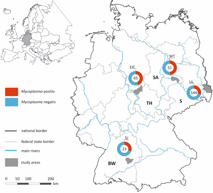 Detection and phylogenetic analysis of blood-associated pathogens from ...