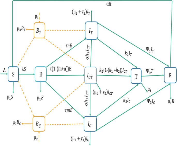 Mathematical modeling and analysis of COVID-19 and typhoid fever co ...