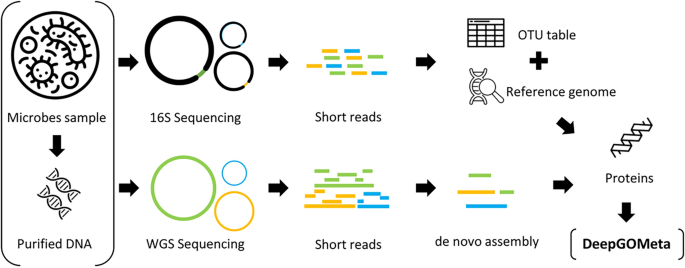 DeepGOMeta for functional insights into microbial communities using ...